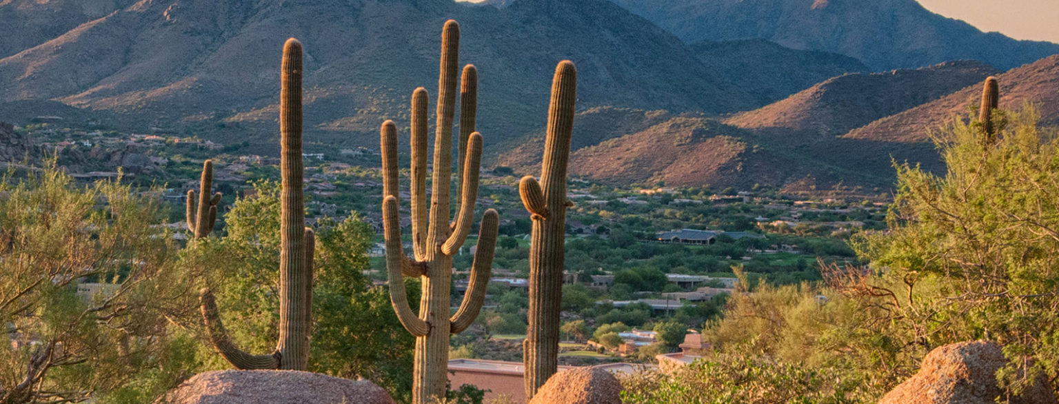 Client Login | Mariner